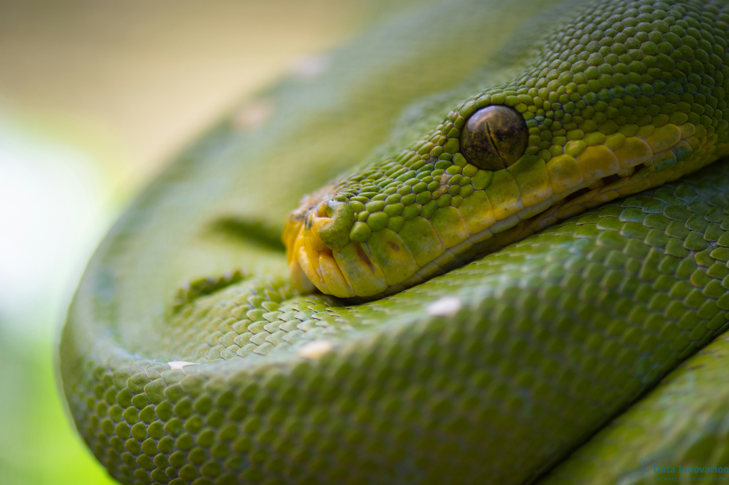 7 Essential Python Libraries for Analytics Engineers - Data Innovation